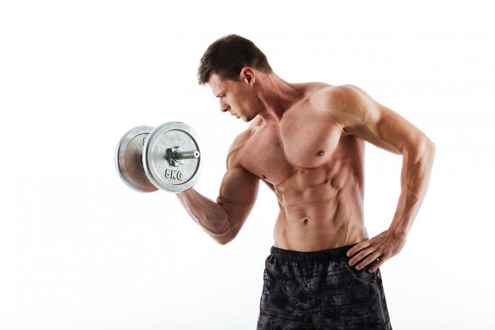 Perbedaan Otot Biceps Brachii, Brachialis, dan Brachioradialis
